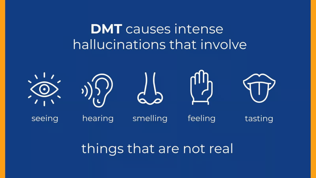 How is DMT taken safely? - Psychedelickingss